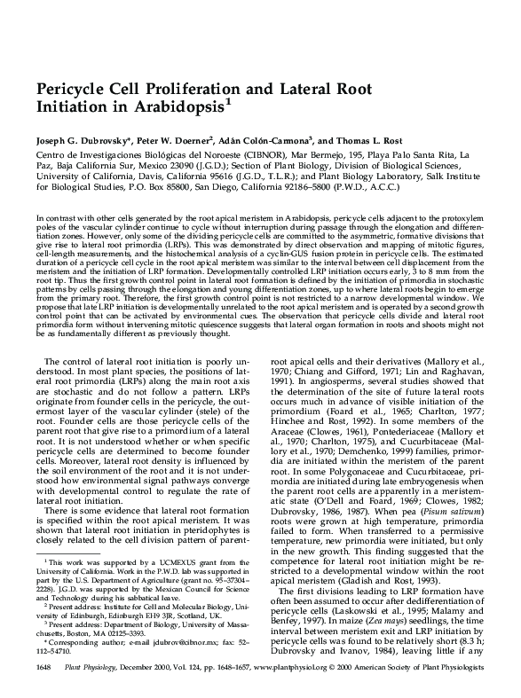 (PDF) Pericycle Cell Proliferation and Lateral Root Initiation in ...