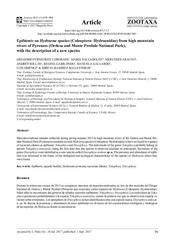 (PDF) Epibionts on Hydraena species (Coleoptera: Hydraenidae) from high ...