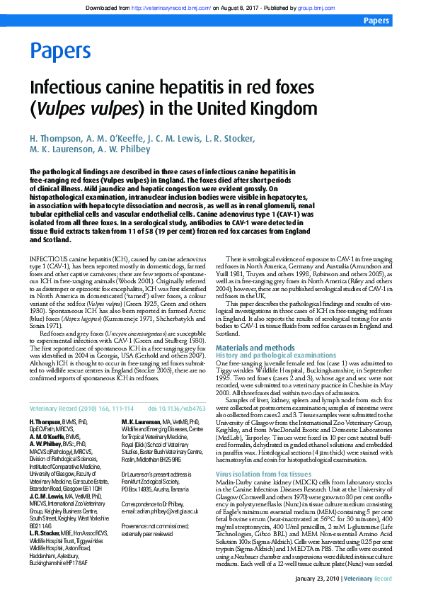 (PDF) Infectious canine hepatitis in red foxes (Vulpes vulpes) in the United Kingdom