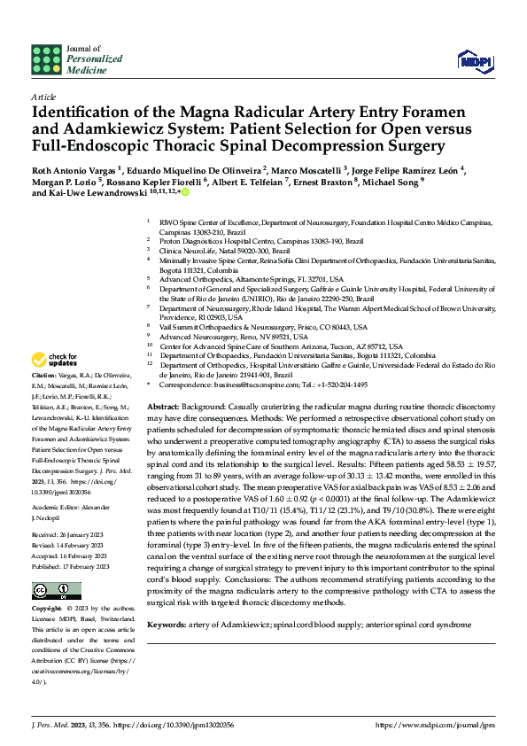 (PDF) Identification of the Magna Radicular Artery Entry Foramen and ...