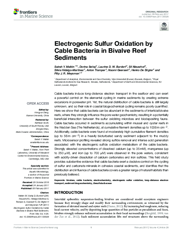 (PDF) Electrogenic Sulfur Oxidation by Cable Bacteria in Bivalve Reef Sediments