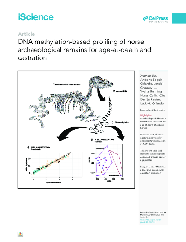 (PDF) DNA methylation-based profiling of horse archaeological remains ...