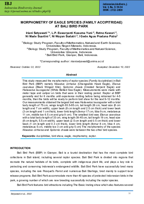 (PDF) Morphometry of Eagle Species (Family Accipitridae) at Bali Bird Park