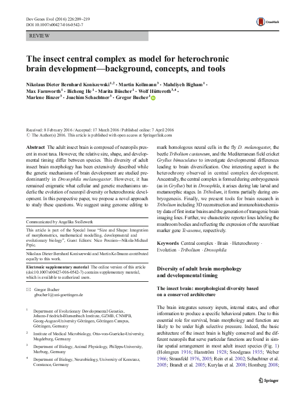 (PDF) The insect central complex as model for heterochronic brain ...