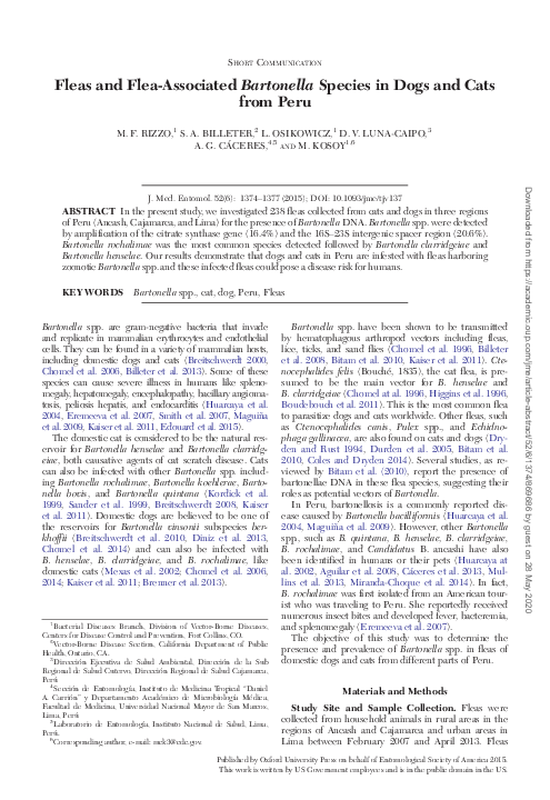 (PDF) Fleas and Flea-Associated Bartonella Species in Dogs and Cats from Peru: Table 1