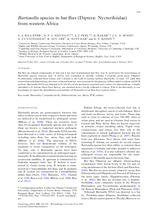 (PDF) Bartonellaspecies in bat flies (Diptera: Nycteribiidae) from ...