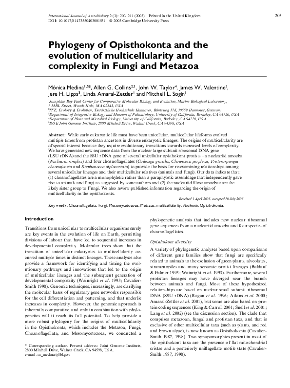 (PDF) Phylogeny of Opisthokonta and the evolution of multicellularity ...