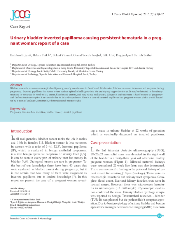 (PDF) Urinary bladder inverted papilloma causing persistent hematuria ...