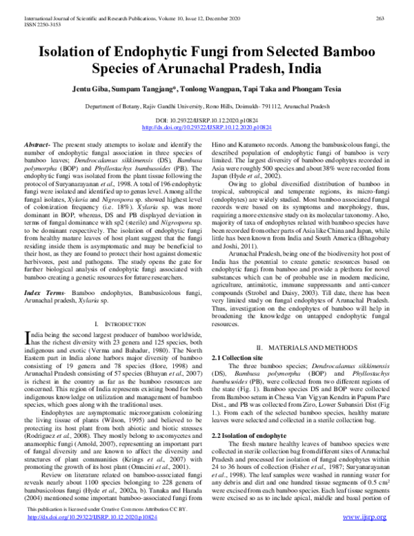 (PDF) Isolation of Endophytic Fungi from Selected Bamboo Species of Arunachal Pradesh, India ...