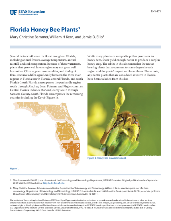 (PDF) Florida Honey Bee Plants | William Kern - Academia.edu