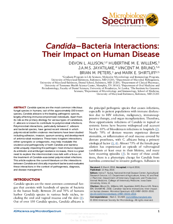 (PDF) Candida–Bacteria Interactions: Their Impact on Human Disease