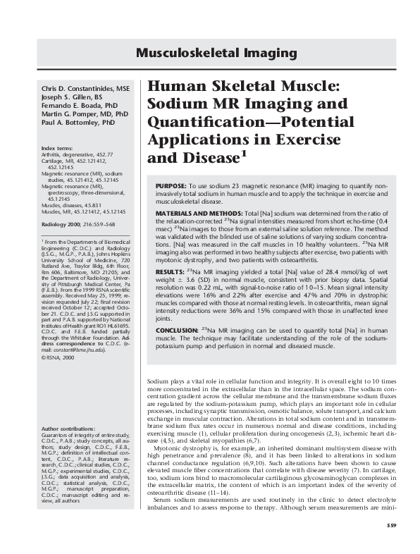 (PDF) Human Skeletal Muscle: Sodium MR Imaging and Quantification ...