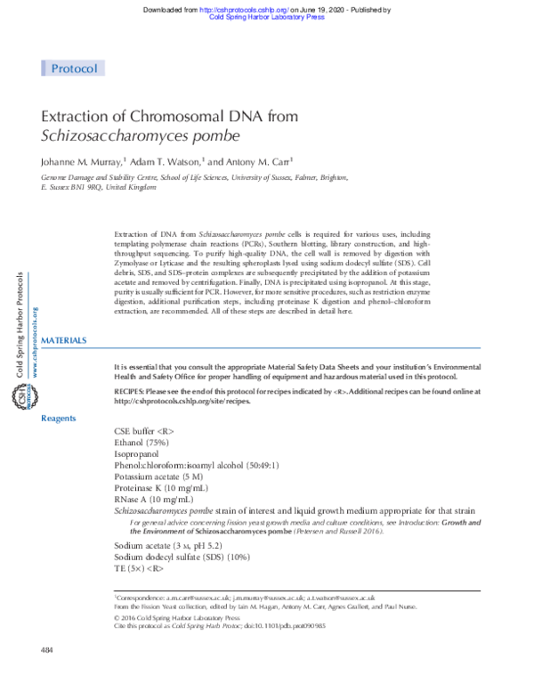 (PDF) Extraction of Chromosomal DNA fromSchizosaccharomyces pombe