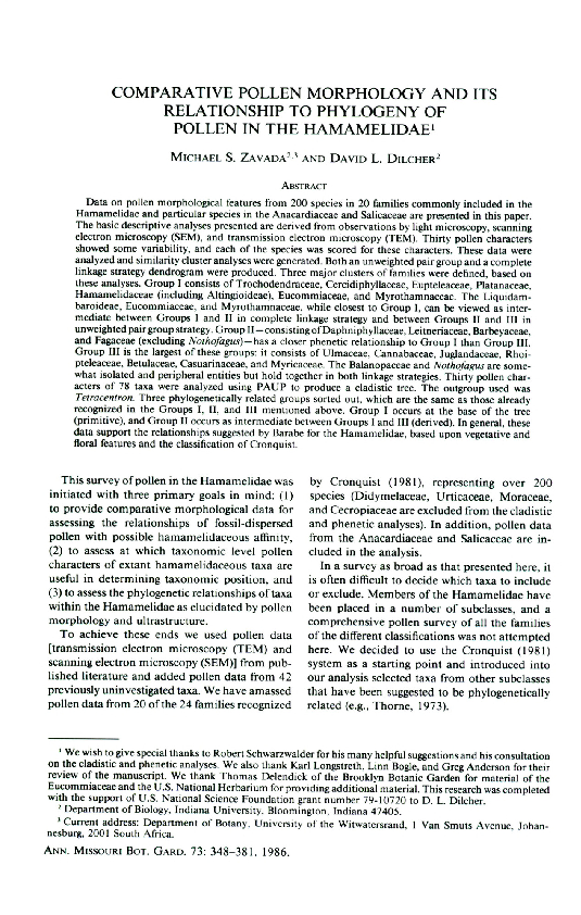 (PDF) Comparative Pollen Morphology and Its Relationship to Phylogeny ...