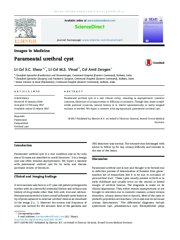(PDF) Parameatal urethral cyst