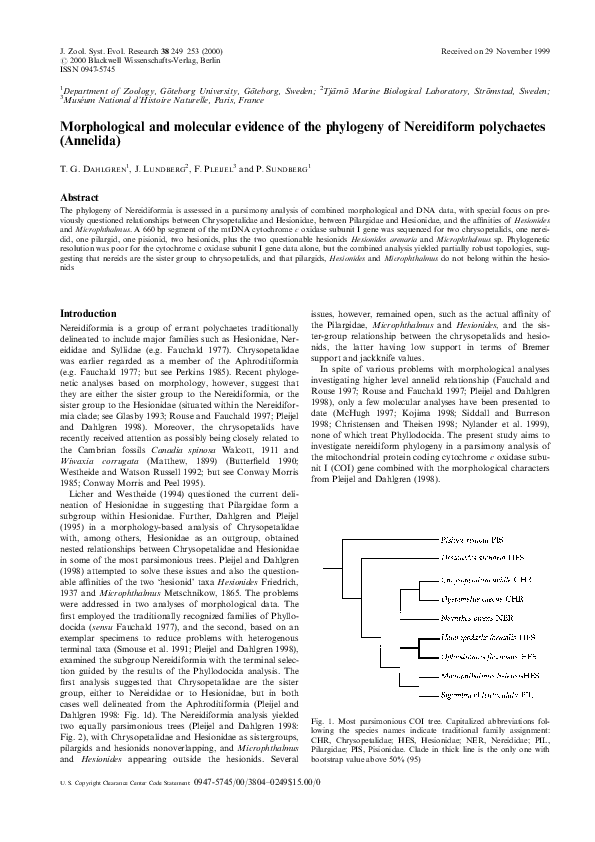(PDF) Morphological and molecular evidence of the phylogeny of ...