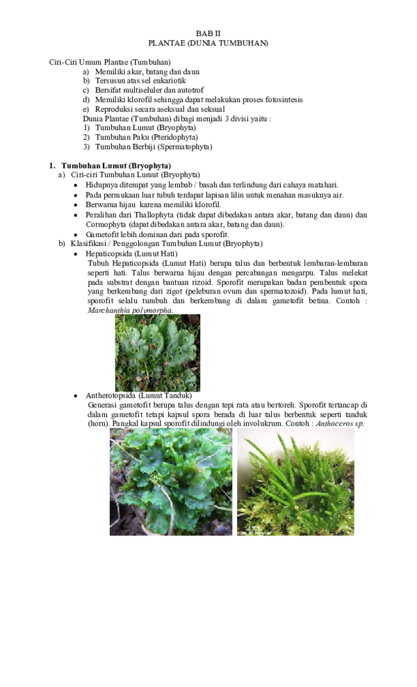 (DOC) Plantae / Tumbuhan