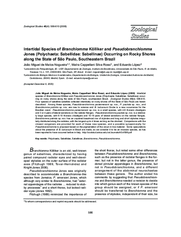 (PDF) Intertidal species of Branchiomma kölliker and Pseudobranchiomma ...