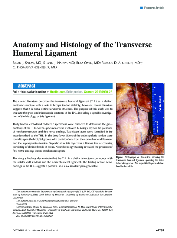 (PDF) Anatomy and Histology of the Transverse Humeral Ligament
