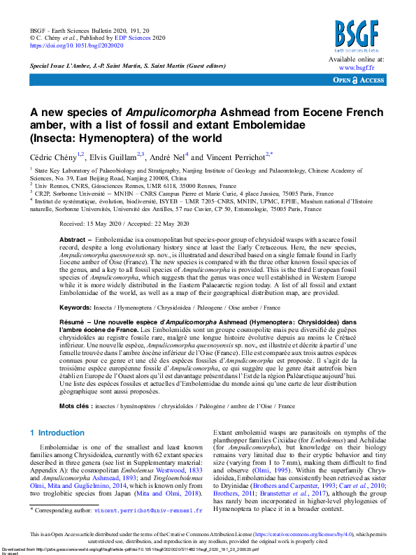 (PDF) A new species of Ampulicomorpha Ashmead from Eocene French amber ...