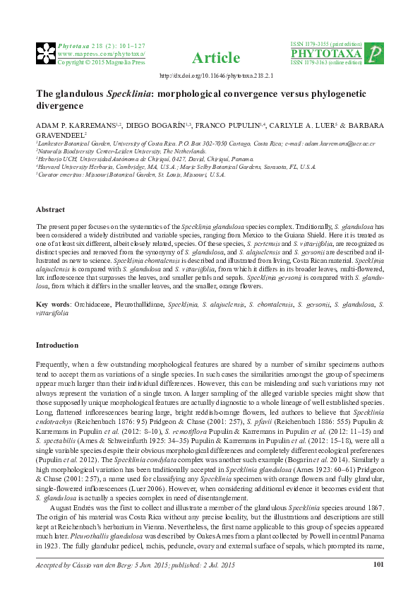 (PDF) The glandulous Specklinia: morphological convergence versus ...
