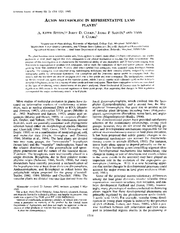 (PDF) Auxin Metabolism in Representative Land Plants