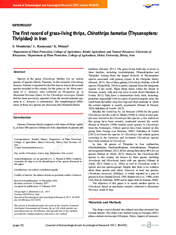 (PDF) The first record of grass-living thrips, Chirothrips hamatus ...
