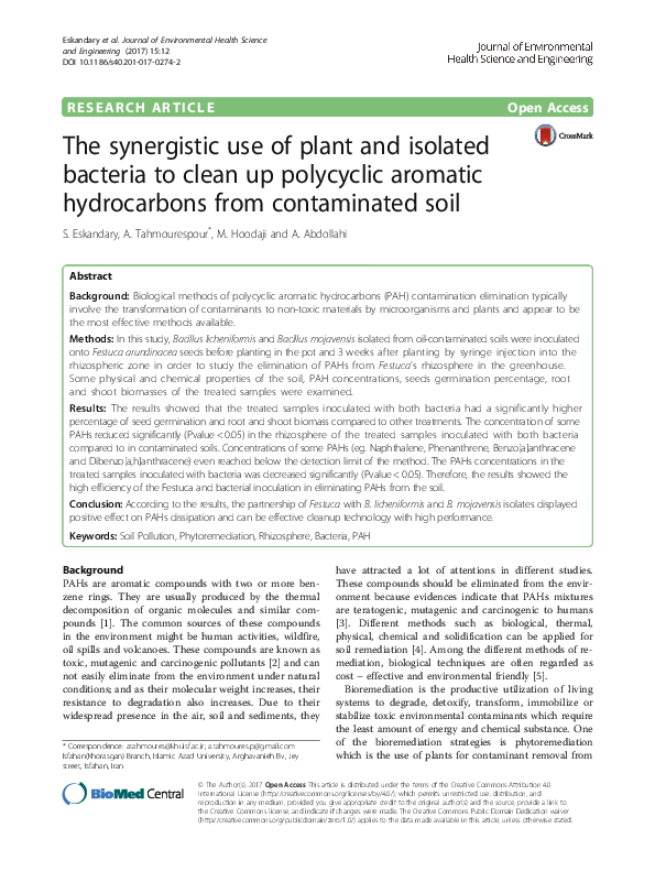 (PDF) The synergistic use of plant and isolated bacteria to clean up polycyclic aromatic ...