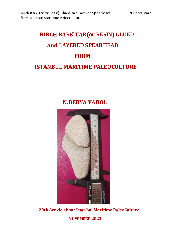 (PDF) BIRCH BARK TAR(or RESIN) GLUED and LAYERED SPEARHEAD FROM ...