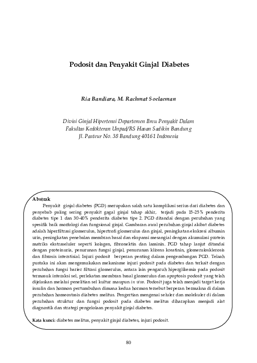 (PDF) Podosit Dan Penyakit Ginjal Diabetes