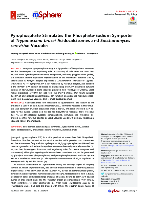 (PDF) Pyrophosphate Stimulates the Phosphate-Sodium Symporter of ...