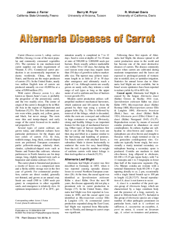 (PDF) Alternaria Diseases of Carrot