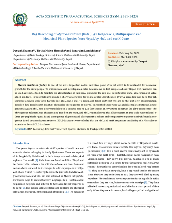 (PDF) DNA Barcoding of Myrica esculanta (Kafal), An Indigenous ...
