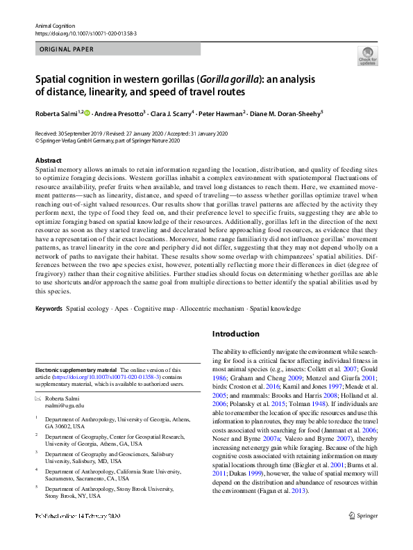 (PDF) Spatial cognition in western gorillas (Gorilla gorilla): an analysis of distance ...