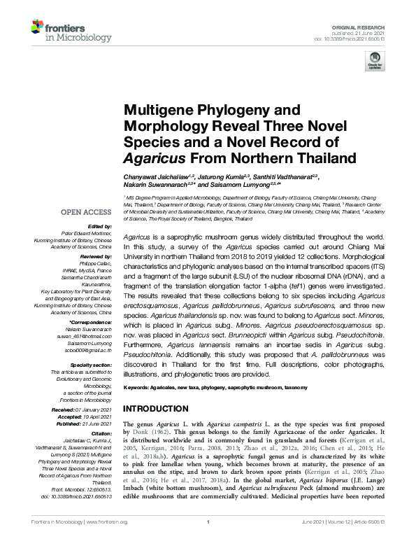 (PDF) Multigene Phylogeny and Morphology Reveal Three Novel Species and a Novel Record of ...