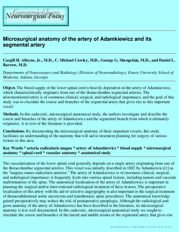 (PDF) Microsurgical anatomy of the artery of Adamkiewicz and its ...