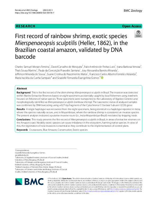(PDF) First record of rainbow shrimp, exotic species Mierspenaeopsis ...