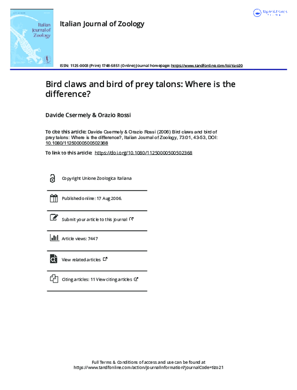 (PDF) Bird claws and bird of prey talons: Where is the difference?