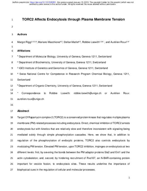 (PDF) TORC2 Regulates Endocytosis via Plasma Membrane Tension