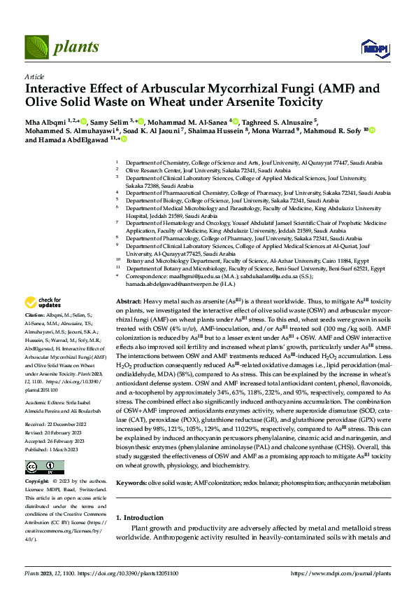 (PDF) Interactive Effect of Arbuscular Mycorrhizal Fungi (AMF) and Olive Solid Waste on Wheat ...