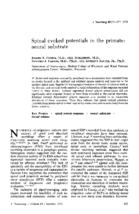 (PDF) Spinal evoked potentials in the primate: Neural substrate