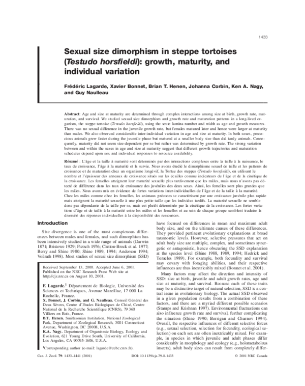 (PDF) Sexual size dimorphism in steppe tortoises ( Testudo horsfieldi ...