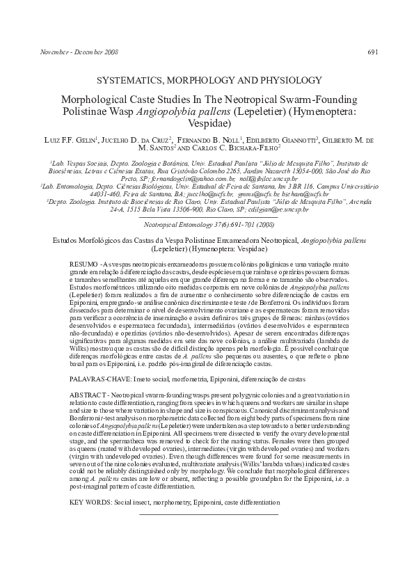 (PDF) SYSTEMATICS, MORPHOLOGY AND PHYSIOLOGY Morphological Caste ...