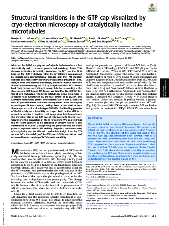 (PDF) Structural transitions in the GTP cap visualized by cryo-electron ...
