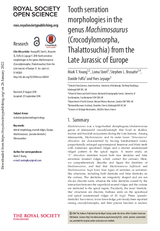 (PDF) Tooth serration morphologies in the genus Machimosaurus ...