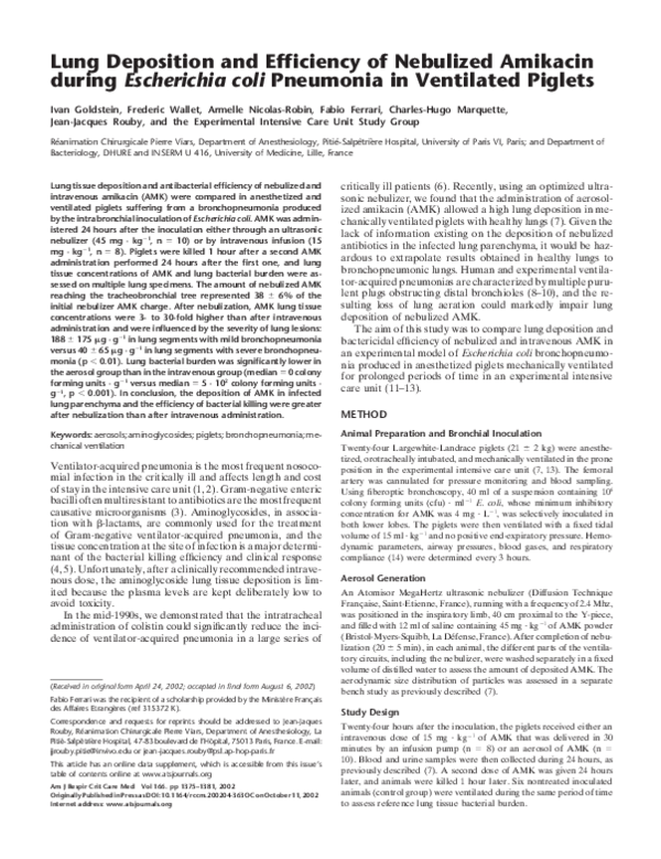 (PDF) Lung Deposition and Efficiency of Nebulized Amikacin during ...