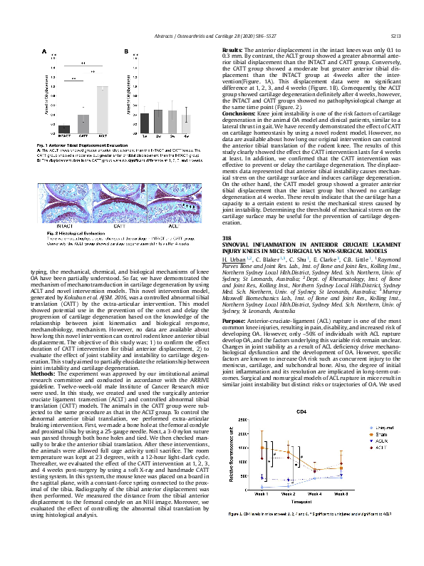 (PDF) Synovial inflammation in anterior cruciate ligament injury knees ...