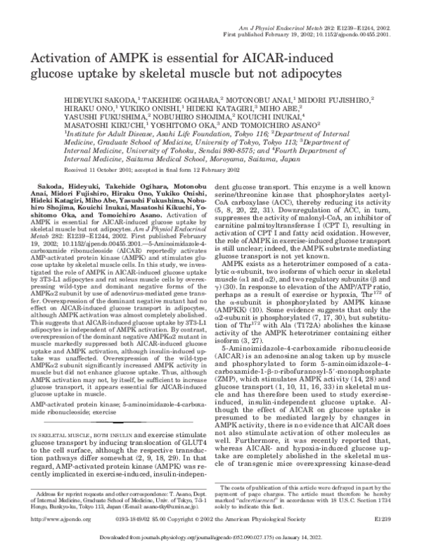 (PDF) Activation of AMPK is essential for AICAR-induced glucose uptake by skeletal muscle but ...