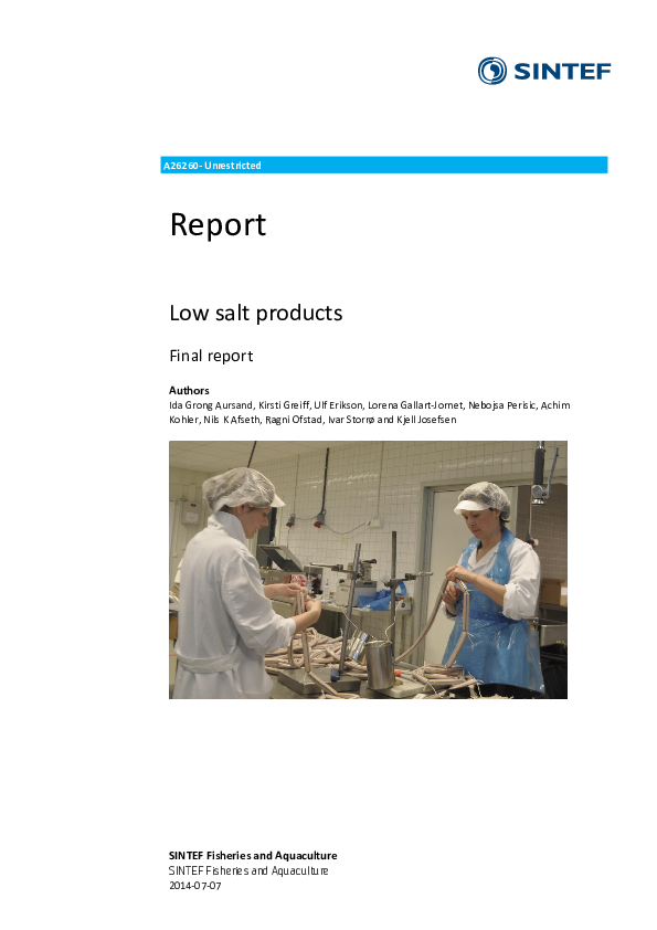 (PDF) Low salt products Final report