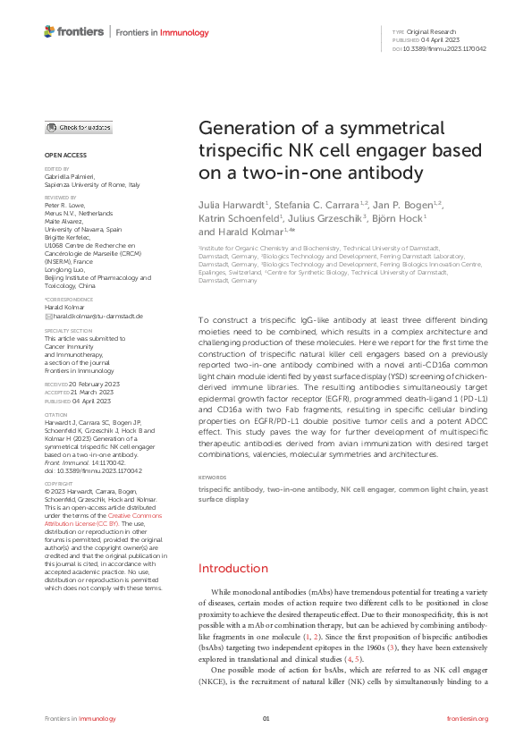 (PDF) Generation of a symmetrical trispecific NK cell engager based on ...